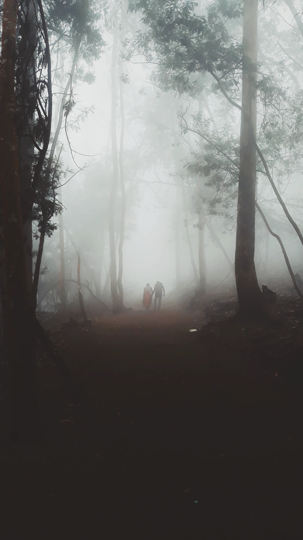 Fall Phone Wallpaper: Autumn Themed Backgrounds for your Phone - Jackie Em